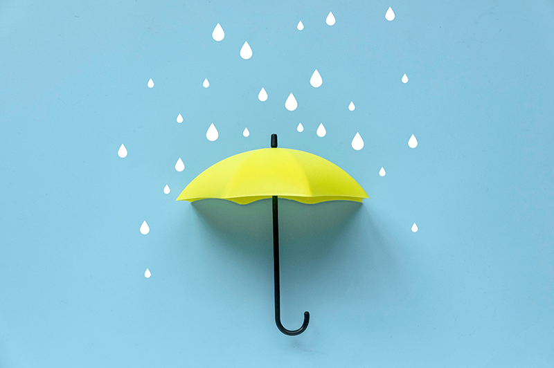 APRIL SHOWERS, MAY FLOWERS, AND YOUR RAINY-DAY FUND